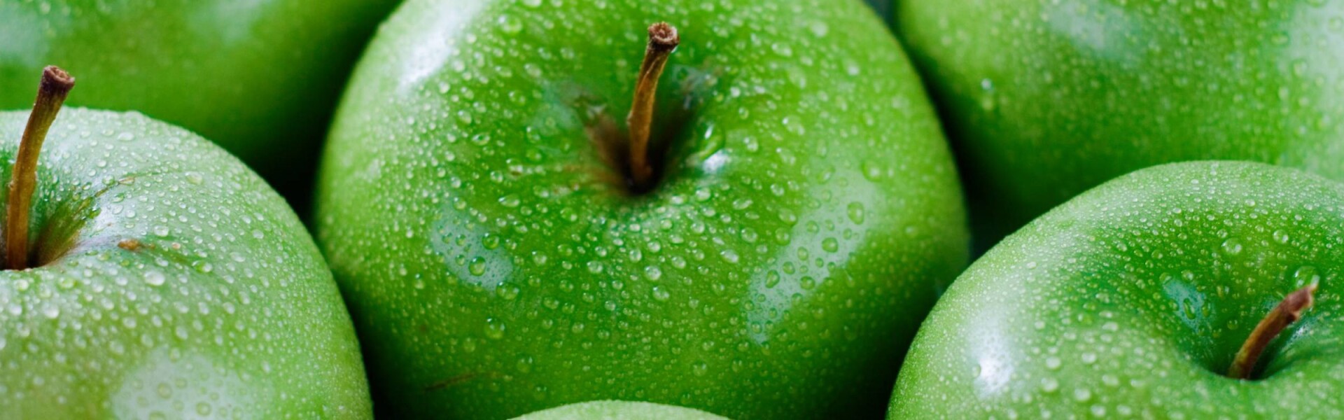 Portfolio Company Profile | AgroFresh - Paine Schwartz Partners