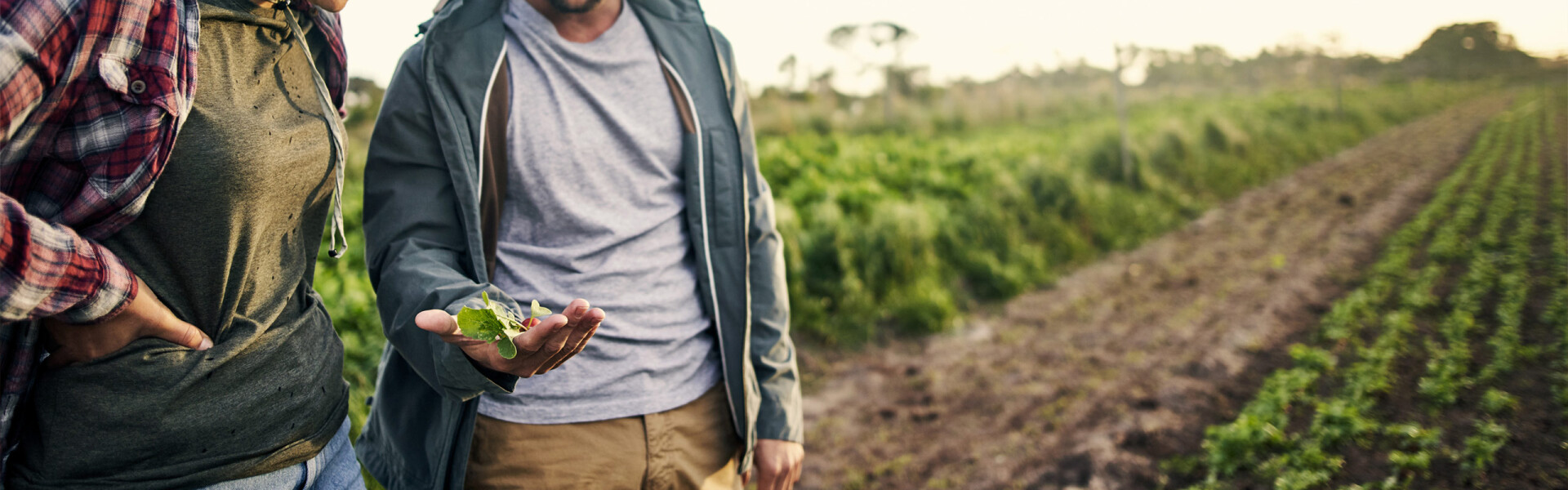 Portfolio Company Profile | Advanced Agrilytics - Paine Schwartz Partners