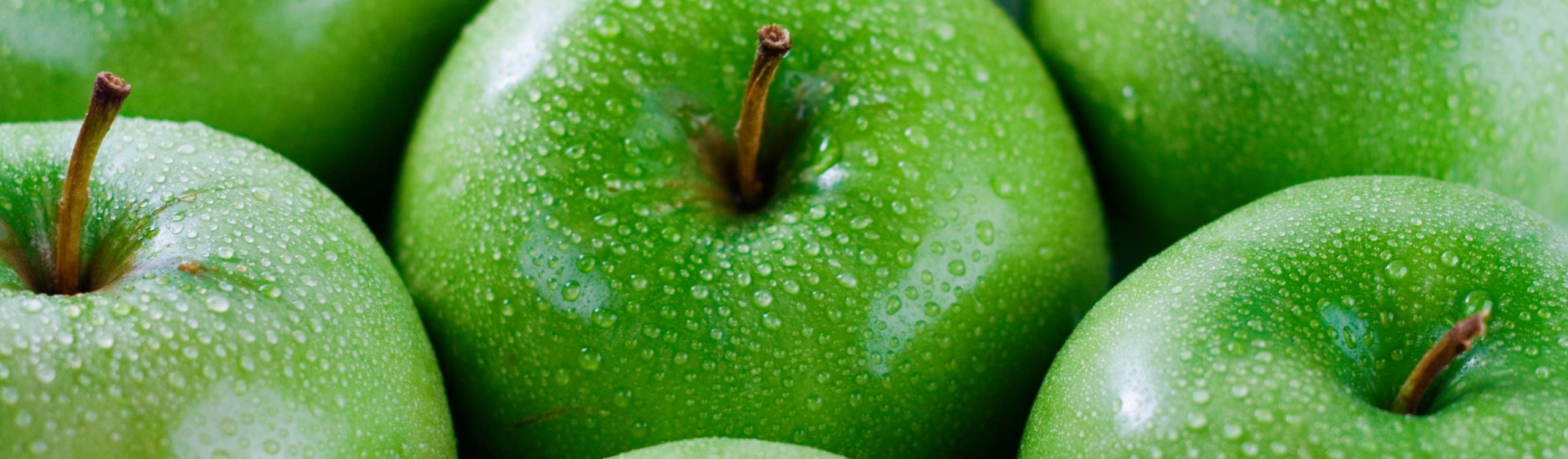 Portfolio Company Profile | AgroFresh - Paine Schwartz Partners